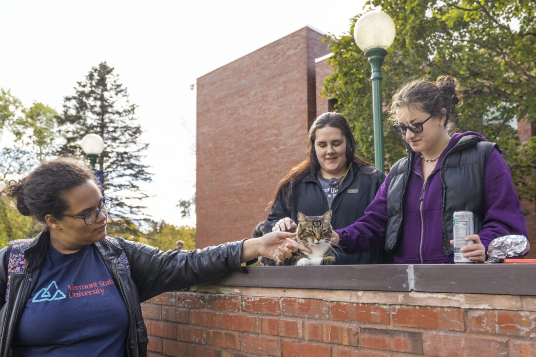 College puts ‘cat’ into ‘education’ by giving feline honorary degree ...